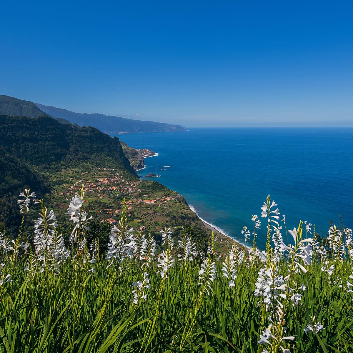 Insel mit einzigartiger Natur | Madeira