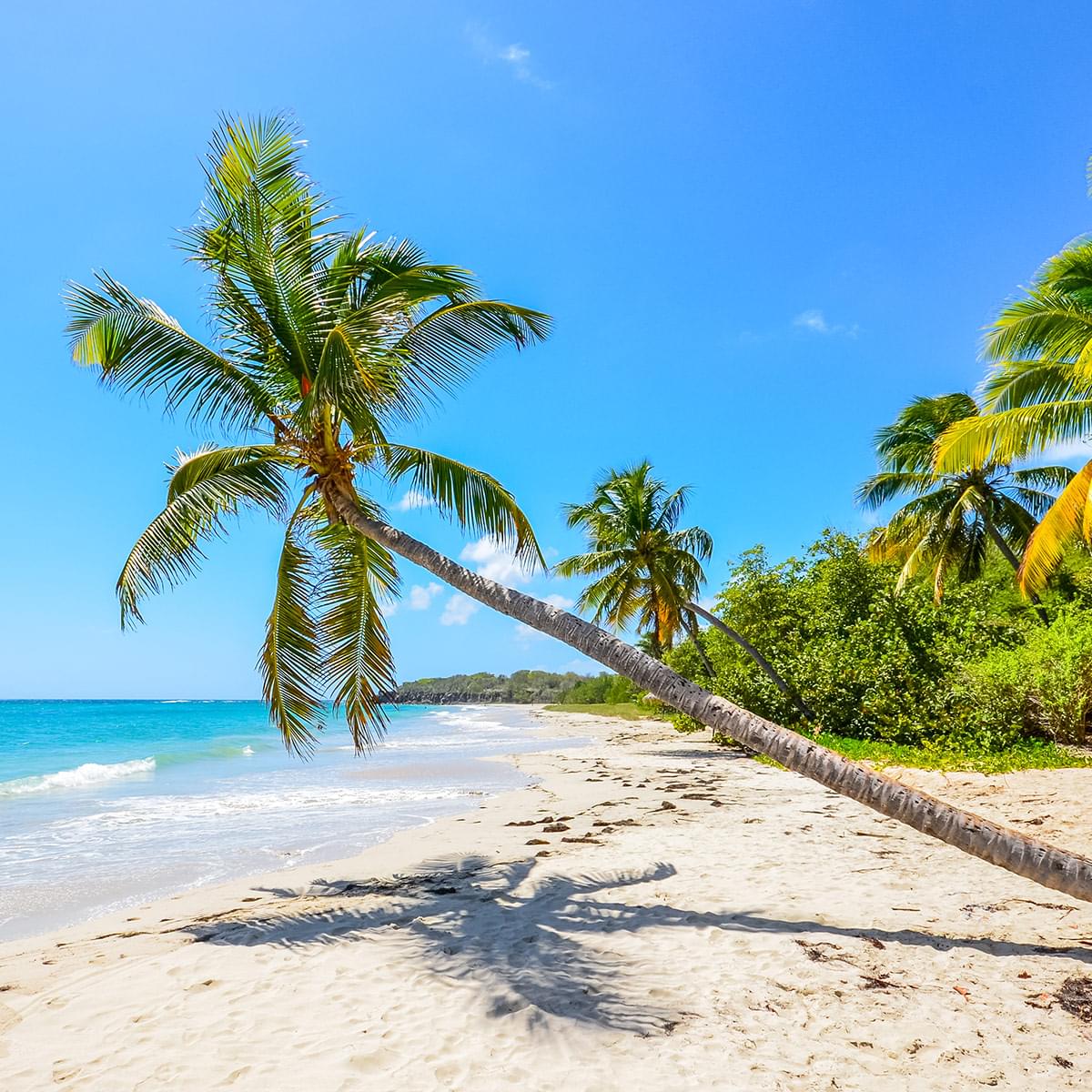 Martinique | Martinique